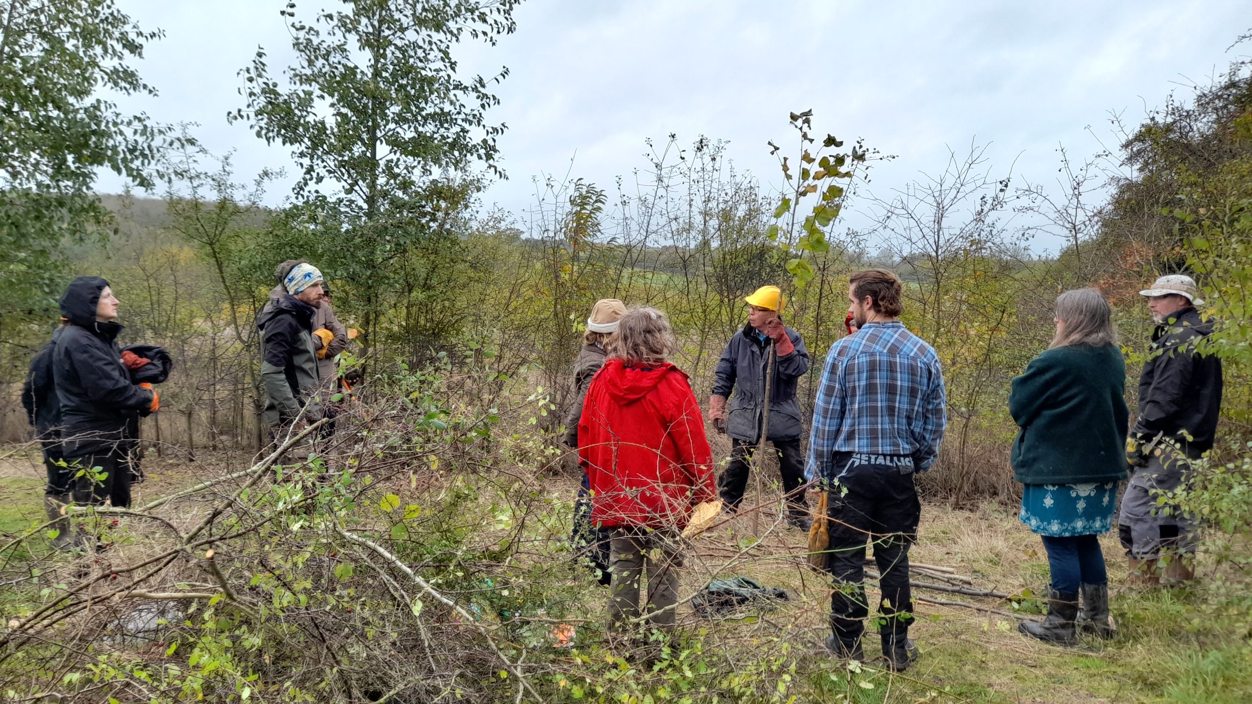 Hedgerow Heroes Projects - CPRE Derbyshire