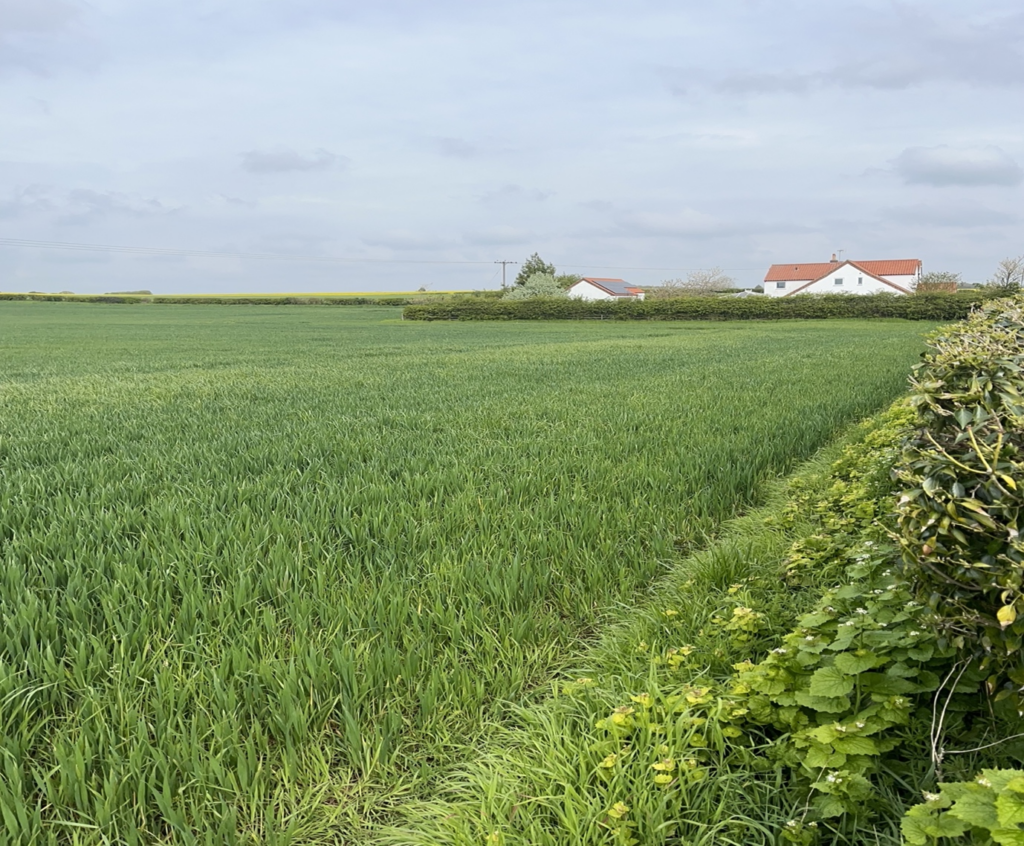 Objection to a proposed solar farm in Bolsover - CPRE Derbyshire